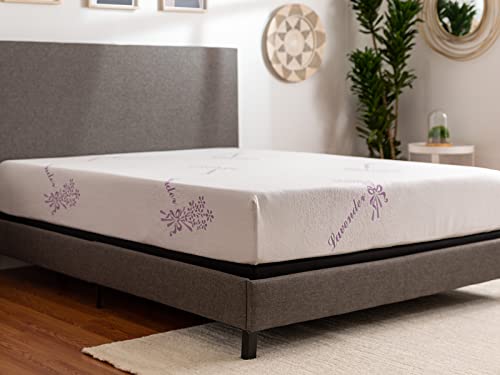 Tulo by Mattress Firm | 10 INCH Memory Foam Lavender Mattress | Pain-REDUCING Pressure Relief | Queen Size