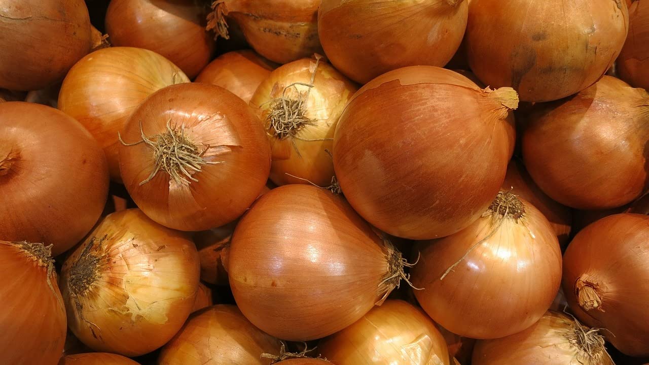 Organic fresh yellow onions fresh produce Vegetable 10 Lbs