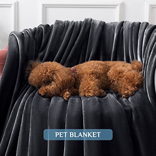 ONME Fleece Blanket, Twin Size Blanket - Soft Lightweight Microfiber Cool Blanket for Sofa, Couch, Bed, Camping, Travel, 60"x80" Dark Gray