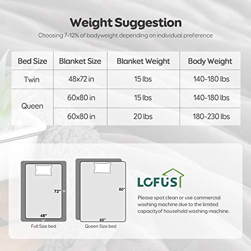 Lofus Sherpa Fleece Weighted Blanket 20 lbs Heavy Blanket with Soft Plush Flannel Reversible Full-Size Super Soft Extra Warm Cozy Fluffy Blanket 60 x 80 inches for Adult Bed Couch, Grey