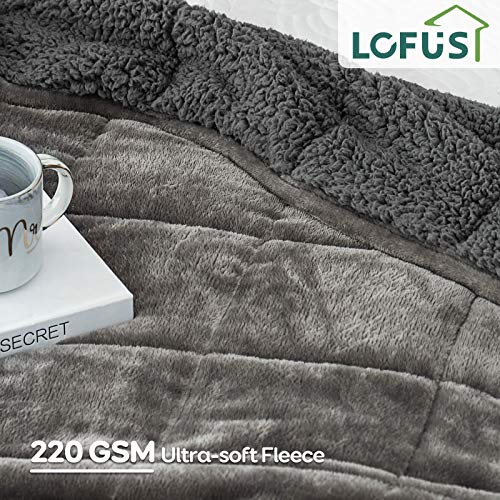 Lofus Sherpa Fleece Weighted Blanket 20 lbs Heavy Blanket with Soft Plush Flannel Reversible Full-Size Super Soft Extra Warm Cozy Fluffy Blanket 60 x 80 inches for Adult Bed Couch, Grey