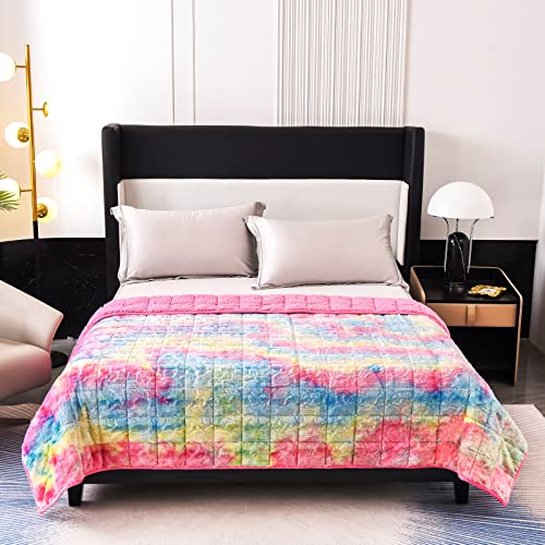 NEWCOSPLAY Faux Fur Weighted Blanket Soft Thick Heavy Throw Blanket for Adult Kids Plush Sherpa with Glass Beads (Dark Rainbow, 48"x72" | 15 lbs)