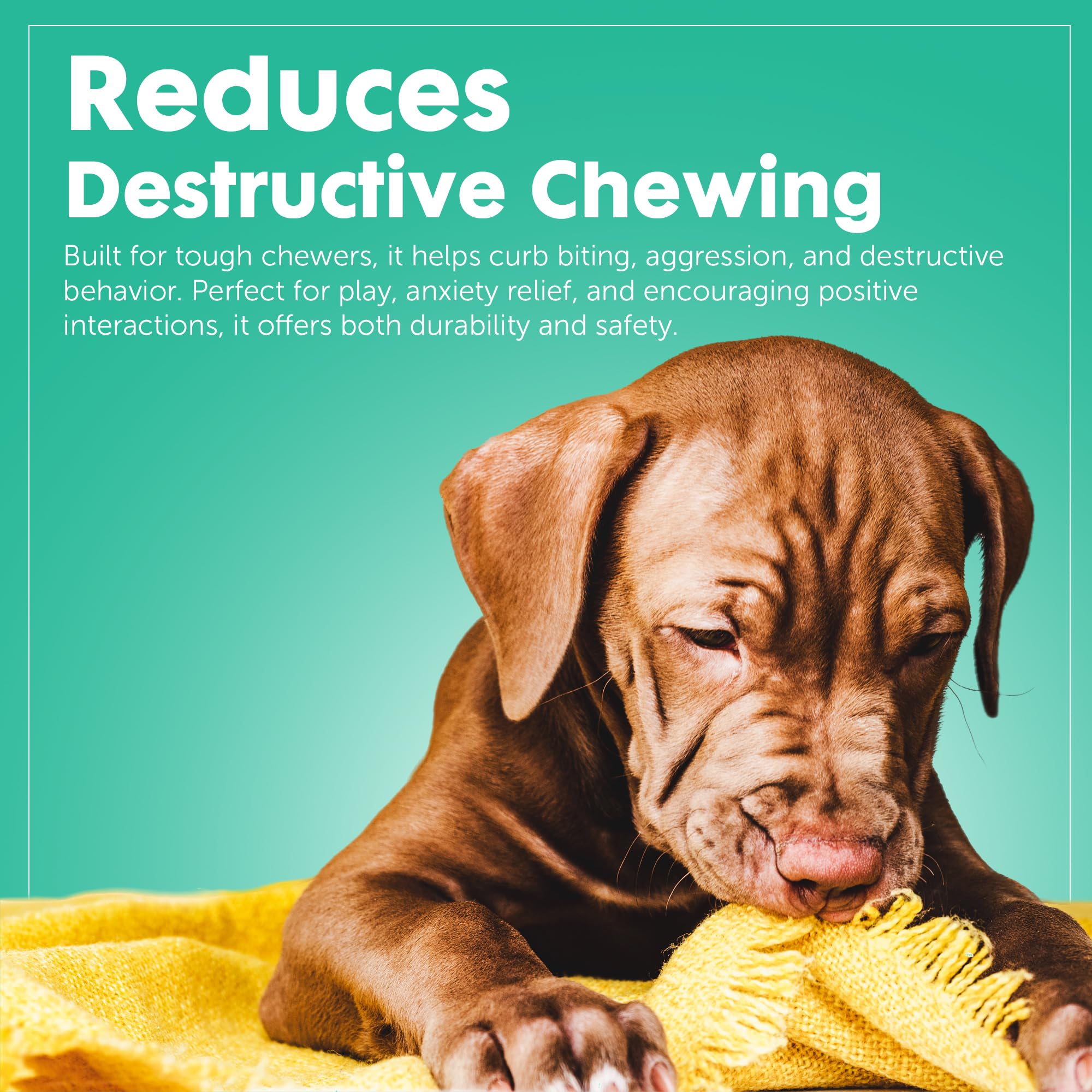 Dog Chew Toys for Aggressive Chewers - Chew Ring Interactive Medium Large Dog Puzzle Toys, Dog Chew Enrichment Toys for Boredom and Brain Stimulating Game Keeps Them Engaged