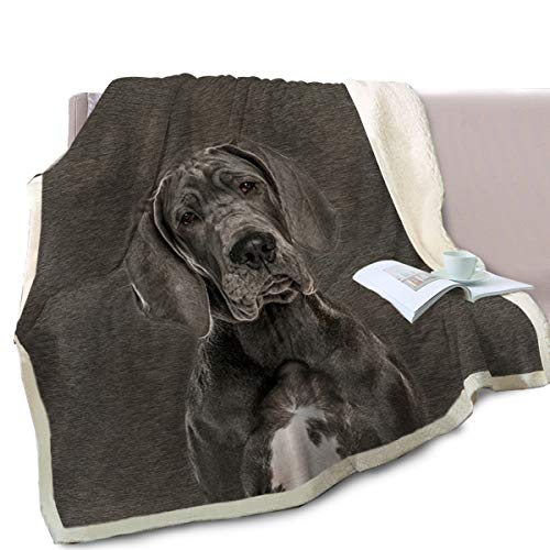 BlessLiving Grey Great Dane Throw Soft Blanket Sherpa Fleece Lined Blanket Pet and Dog Lovers Home Throw Blankets (Twin, 60 x 80 Inches)