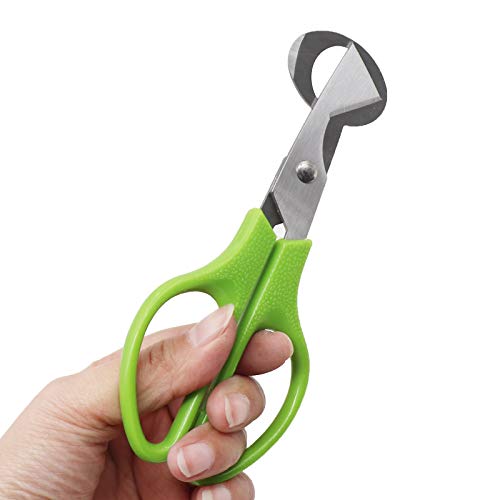 Quail Egg Cutter Scissors Stainless Steel Pigeon Bird Egg Opener Pack of 12
