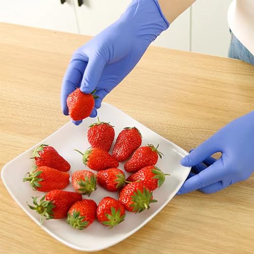 VOS Disposable Gloves| Heavy Duty | Powder Free | Latex Free Rubber | 100 Count Box |food Safe