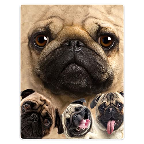 SXCHEN Blankets Plush Sofa Bed Throw Blanket Funny Pug Dogs Pet Animal 60"x80"
