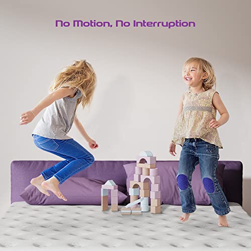 Sersper 12 Inch Memory Foam Hybrid Pillow Top Queen Mattress - 5-Zone Pocket Innersprings Motion Isolation -Heavier Coils for Durable Support -Medium Firm -Made in North America
