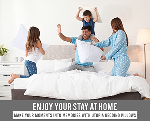 Utopia Bedding 1 Full Size Quilted Fitted Premium Mattress Pad with 2 Pack Queen Size Bed Pillows for Sleeping (White)