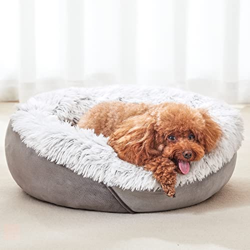 JOEJOY Small Dog Bed & Cat Bed, Anti-Anxiety Puppy Cuddler, Cozy Soft Round Fluffy Plush Pet Bed, Machine Washable, Anti-Slip Bottom (20", Grey)