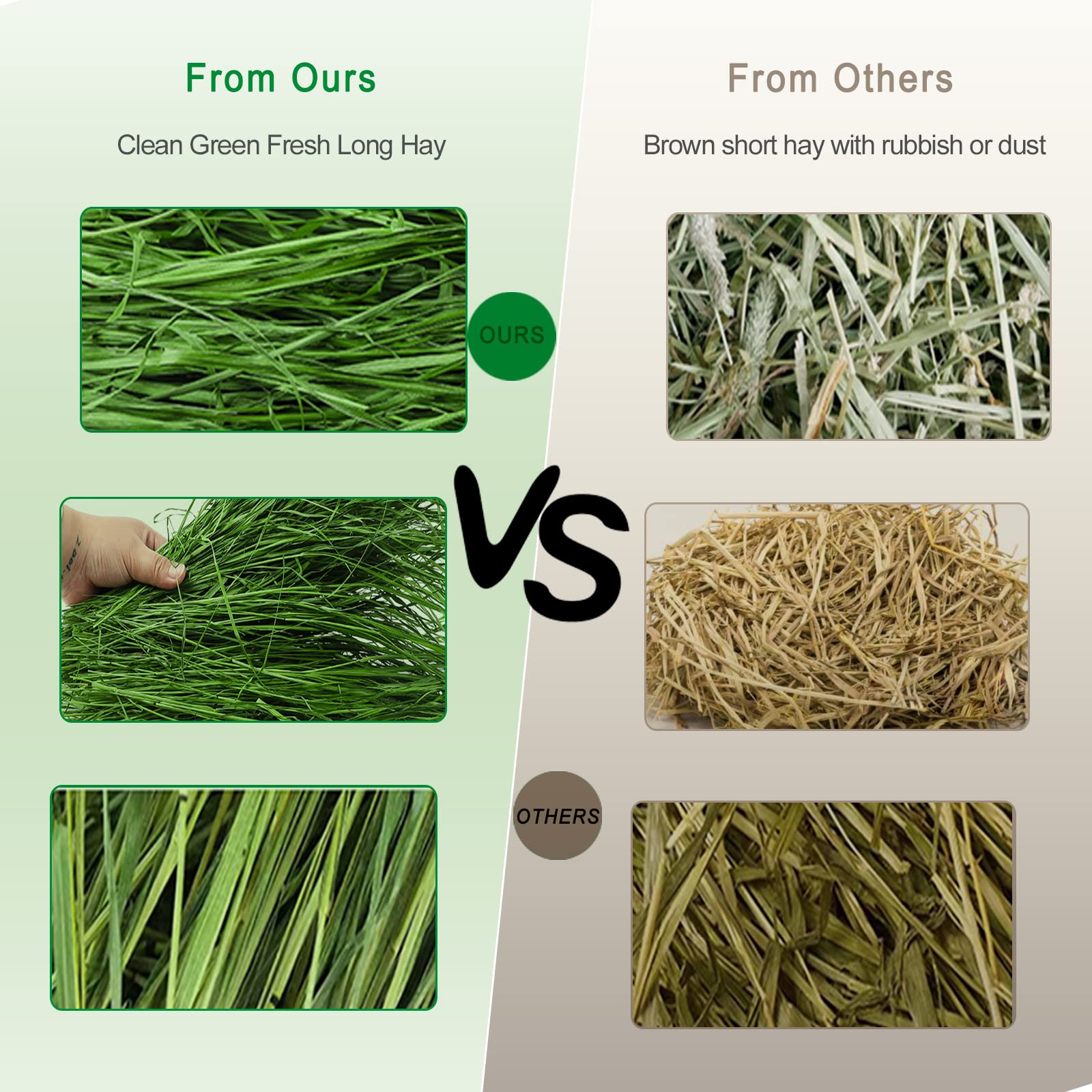Ohcool Timothy Hay 2.2LBS - Premium Hay for Rabbits Tortoise Guinea Pig Chinchilla - Dust Free Natural Fresh Hay (1.1 lbs, 2 Pack)