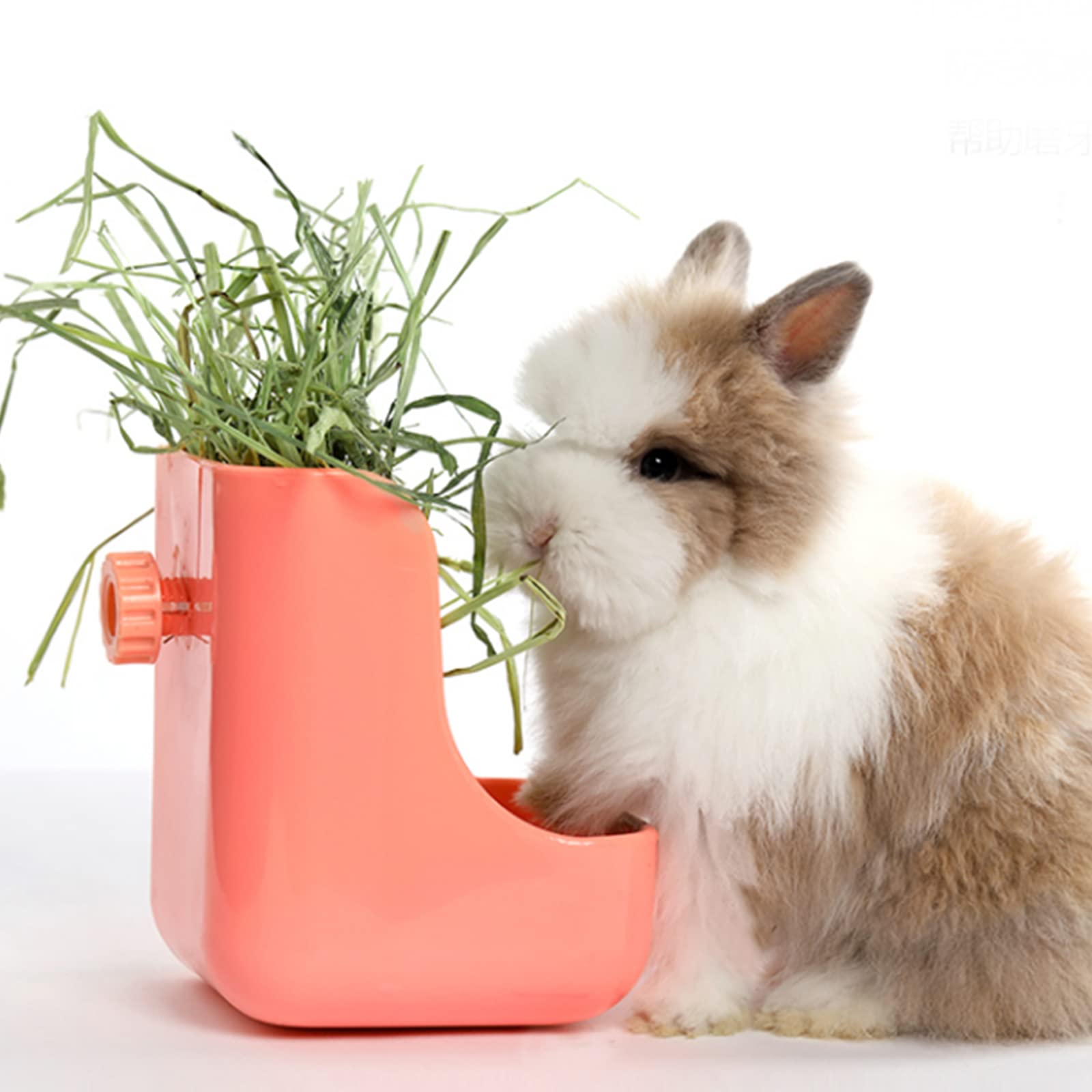 Ohcool Timothy Hay 2.2LBS - Premium Hay for Rabbits Tortoise Guinea Pig Chinchilla - Dust Free Natural Fresh Hay (1.1 lbs, 2 Pack)