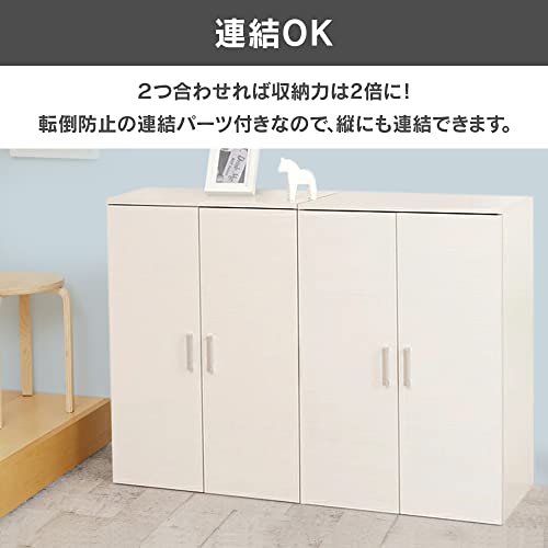 アイリスプラザ(IRIS PLAZA) Shoe Box, 5 Tiers, Width 23.6 x Depth 13.7 x Height 35.4 inches (60 x 34.9 x 90 cm), Movable Shelf,
