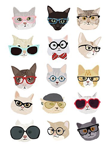 YISUMEI 40" x 50" Blanket Comfort Warmth Soft Plush Throw for Couch Adorable Glasses Wearing Hipster Cats