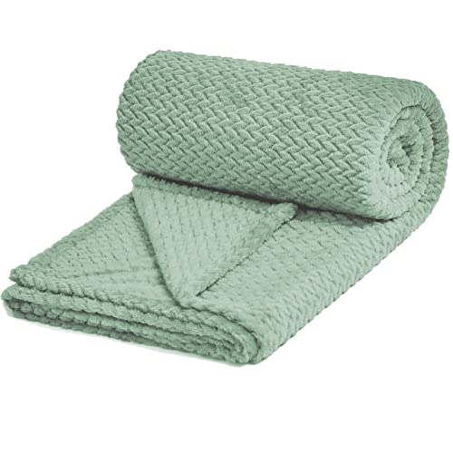 Devirld Fleece Blanket Soft Throw Blanket Fluffy Blankets Warm Plush Cozy Throws for Couch Sofa Bed, Mint Green, Throw(50"x60")