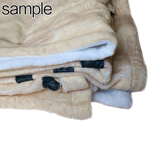 YISUMEI 40" x 50" Blanket Comfort Warmth Soft Plush Throw for Couch Adorable Glasses Wearing Hipster Cats
