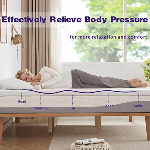 SINWEEK 2 Inch Gel Memory Foam Mattress Topper Twin Size, Ventilated High Density Pad for Back Pain, Bed Topper with Removable Soft Cover, CertiPUR-US Certified