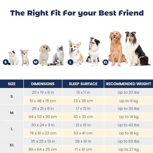 Miguel Removable Washable Dog Bed for Medium Dog Easy Clean - Rectangle Pet Bed for Large Cats with Zipper Cover Bolster Cuddle Puppy Bed with Supportive Side Wall Slip-Resistant Bottom, Blue 30 Inch