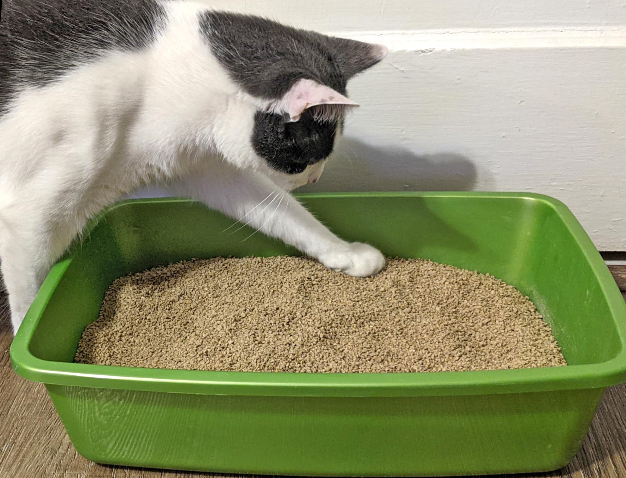 SPOT by Ethical Products – Dr Bales One Source 100% Natural Cat Litter from Yuca Root/Cassava - 2X Long Lasting - Dust Free, Odor Controlling Premium Clumping Cat Litter - 4.4lbs - Small (34002)