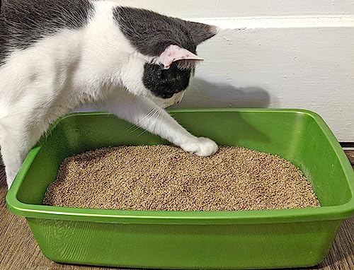 SPOT by Ethical Products – Dr Bales One Source 100% Natural Cat Litter from Yuca Root/Cassava - 2X Long Lasting - Dust Free, Odor Controlling Premium Clumping Cat Litter - 4.4lbs - Small (34002)