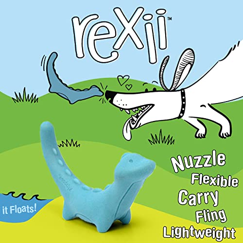 Nylabone Rexii Interactive Dog Toy for Small Dogs – Lightweight Flexible Dog Toy for Creative Play & Dog Exercise
