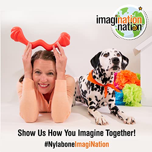 Nylabone Rexii Interactive Dog Toy for Small Dogs – Lightweight Flexible Dog Toy for Creative Play & Dog Exercise