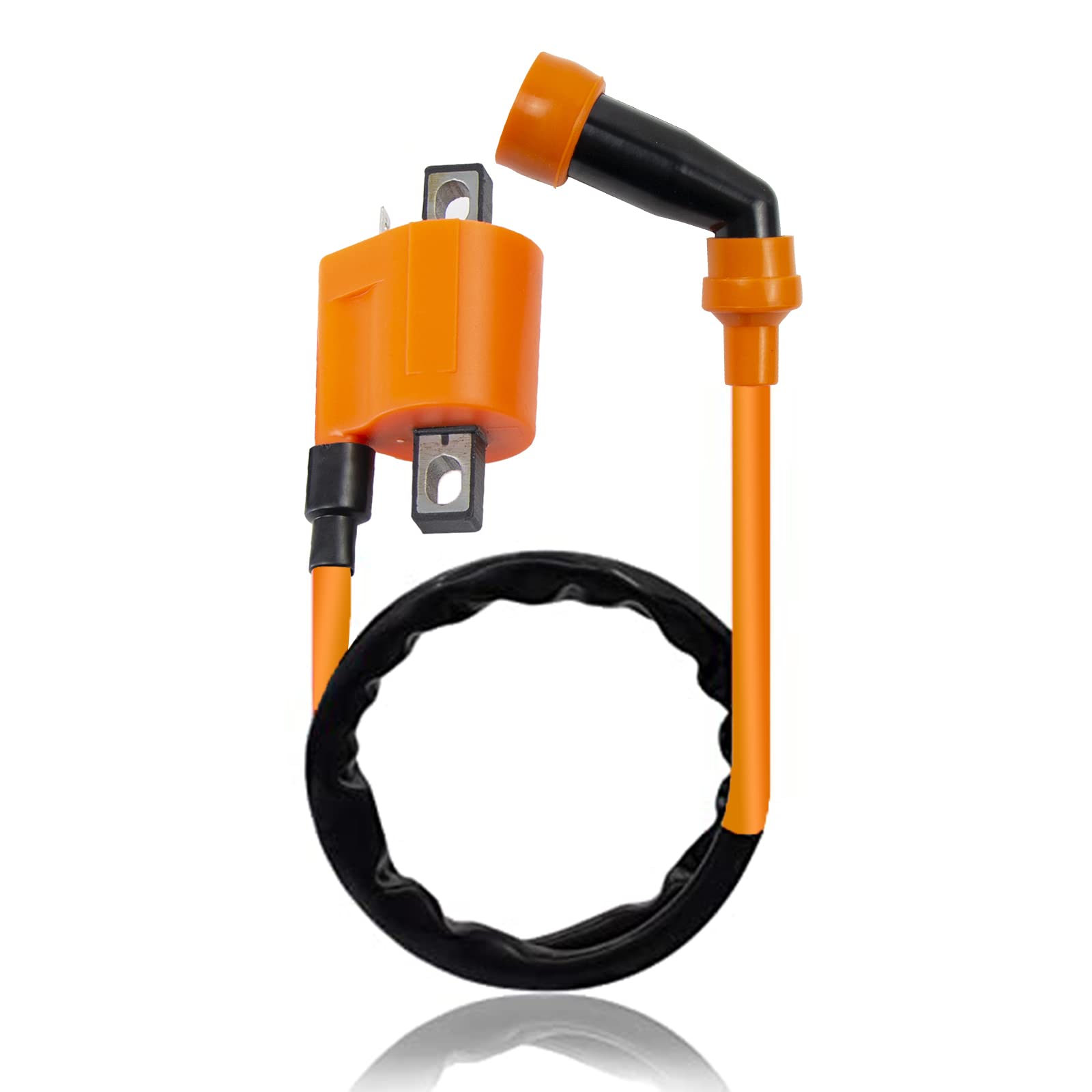Ignition Coil CDI Box Spark Plug for Suzuki Arctic Cat 250 1999-2005 Cat 350 1998-2005 Quadrunner 250 1988-200 Quadrunner 4WD 1987-1993 King Quad 300 1995-2002 32900-19B40 32900-19B50