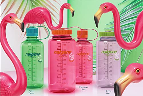 Nalgene Sustain Tritan BPA-Free Water Bottle Made with Material Derived from 50% Plastic Waste, 32 OZ, Wide Mouth, Parrott Green