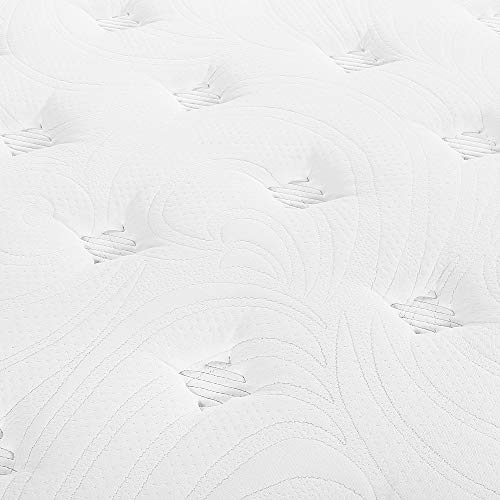 Olee Sleep 10 inch Milk Way Gel Infused Tight Top Hybrid Pocket Spring Mattress (Queen)