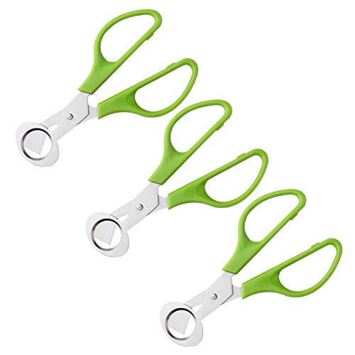 Calary 3Pcs Quail Egg Cutter Scissors Kitchen Egg Shears Tool (Green)
