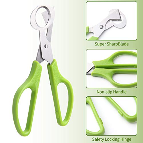Calary 3Pcs Quail Egg Cutter Scissors Kitchen Egg Shears Tool (Green)