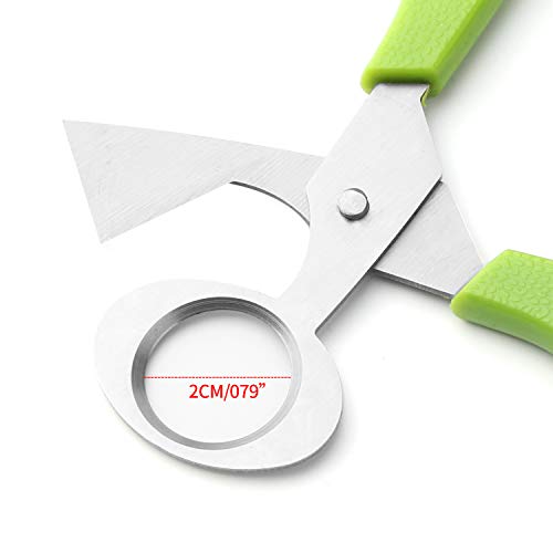 Calary 3Pcs Quail Egg Cutter Scissors Kitchen Egg Shears Tool (Green)