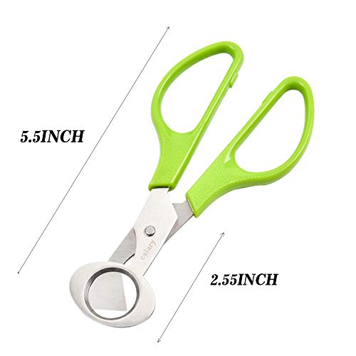 Calary 3Pcs Quail Egg Cutter Scissors Kitchen Egg Shears Tool (Green)