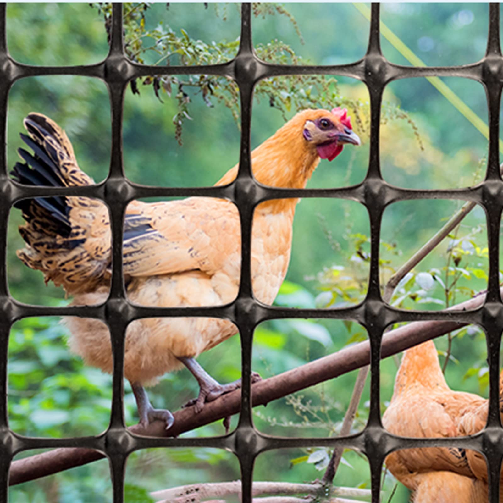 WDJBPSH Extra Long Garden Netting Fence, Multi-Purpose Backyard Lawn Safety Fencing, Large Temporary Barrier Chicken Wire Protection Yard (Color : H X L, Size : 1.2x30m/3.9ftx98.4ft)