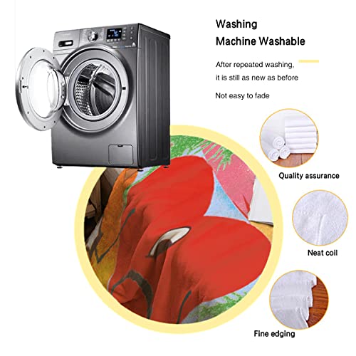 Haidguiin Throw Blankets Cute Blanket Bedding Blankets Sofa Blankets Flannel Blankets Air Conditioning Blanket Fans Gifts