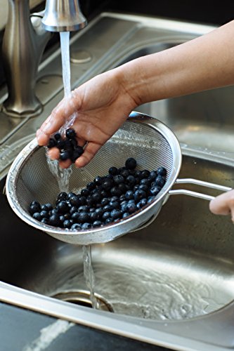 LiveFresh Large Stainless Steel Fine Mesh Strainer with Reinforced Frame and Sturdy Rubber Handle Grip - Designed for Chefs and Commercial Kitchens & Perfect for Your Home - 9 Inch / 23 cm Diameter