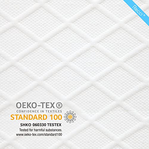 RECCI 2 Inch Mattress Topper Cover Queen Size (Only Cover), Breathable Bamboo Viscose Mattress Topper Protector, Washable Mattress Topper Encasement with Zipper & Adjustable Straps (Queen, White)