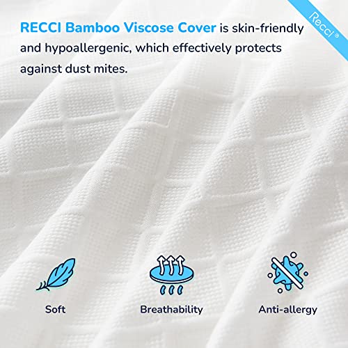 RECCI 2 Inch Mattress Topper Cover Queen Size (Only Cover), Breathable Bamboo Viscose Mattress Topper Protector, Washable Mattress Topper Encasement with Zipper & Adjustable Straps (Queen, White)