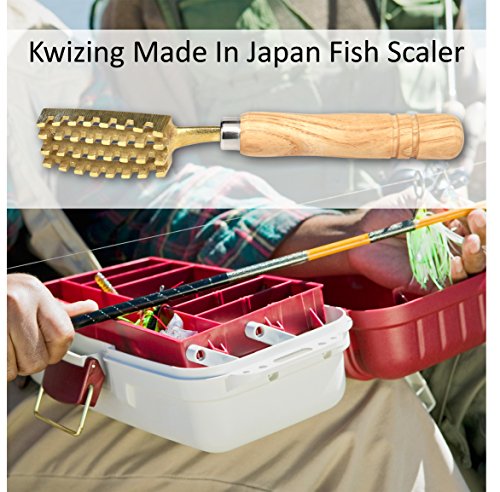 Kwizing Made in Japan [Extra Large] Fish Scaler Brush with Brass Serrated Sawtooth and Ergonomic Wooden Handle - Easily Remove Fish Scales Without Fuss Or Mess - Handcrafted by Japanese Artisans