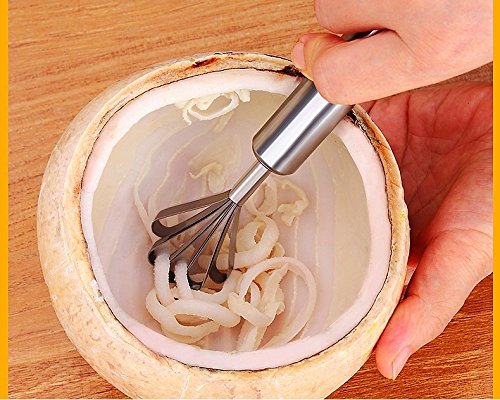 Alwaysuc Stainless Steel Coconut Meat Removal Knife, Multi-Purpose Stainless steel planer