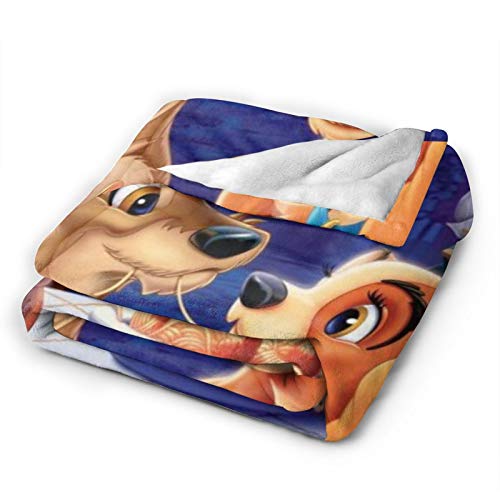 La-Dy and The Tra-Mp Warm Comfortable and Soft Sherpa Flannel Throw Blanket, Suitable for All Seasons Various Sizes Suitable for Men Women and Children