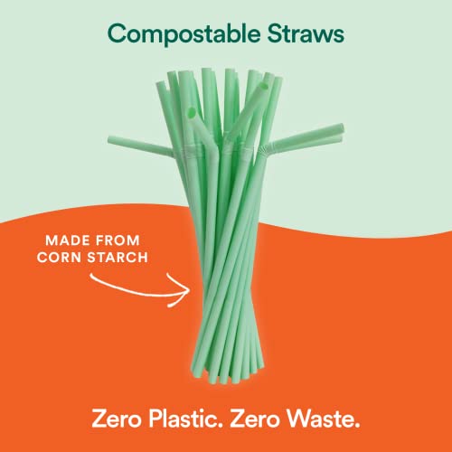 ECO SOUL 100% Compostable Straws [100 Count][8.25"] Eco-Friendly Biodegradable Sustainable Disposable Straws, Cocktail Cold Drink Smoothie Bendable Straws