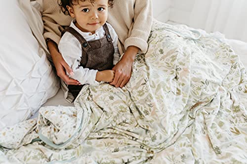 Copper Pearl Jumbo Premium Knit 3 Layer Stretchy Throw Blanket Rex