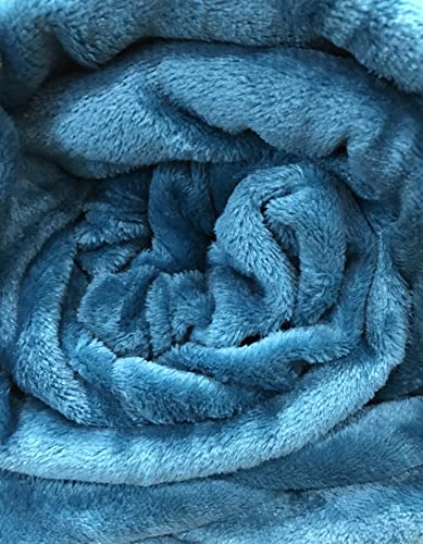 Home Must Haves Solid Color All Season Extra Soft Warm Cozy Sofa Couch Throw Bed Premium Blanket (Queen, Turquoise)