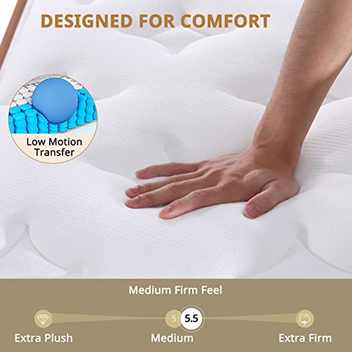 BedStory 10" Hybrid Twin Mattress in a Box, Gel Memory Foam Mattress with Pocket Spring, Medium Firm Mattress with Dual Brim Design for Supportive&Pressure Relieving&Motion Isolated Sleep, Made in USA