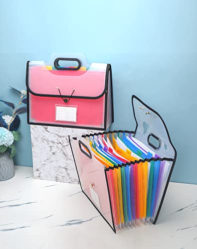 13 Pockets Expanding File Folder with Handle Accordion File Folder Organizer for A4 Letter Size Paper Document Holder Organizer with Expandable Cover (1)