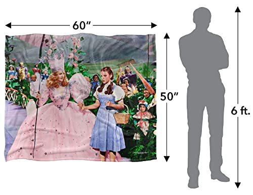 The Wizard of Oz Stanley Desantis Vintage Dorothy and Glinda Silky Touch Super Soft Throw Blanket 50" x 60"
