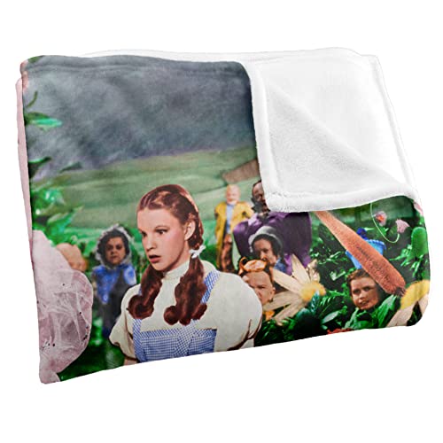 The Wizard of Oz Stanley Desantis Vintage Dorothy and Glinda Silky Touch Super Soft Throw Blanket 50" x 60"