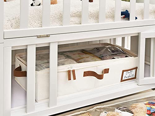 StorageWorks Underbed Storage Box and 32L Storage Bins with Lids