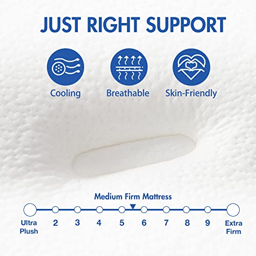 Queen Mattress,10" Memory Foam Hybrid Mattress with Pocket Spring,Medium-Firm Foam Mattress Tight Top Mattress Sleep Motion Isolation, Supportive & Pressure Relief,Queen Mattress-in-a-Box by DIGLANT